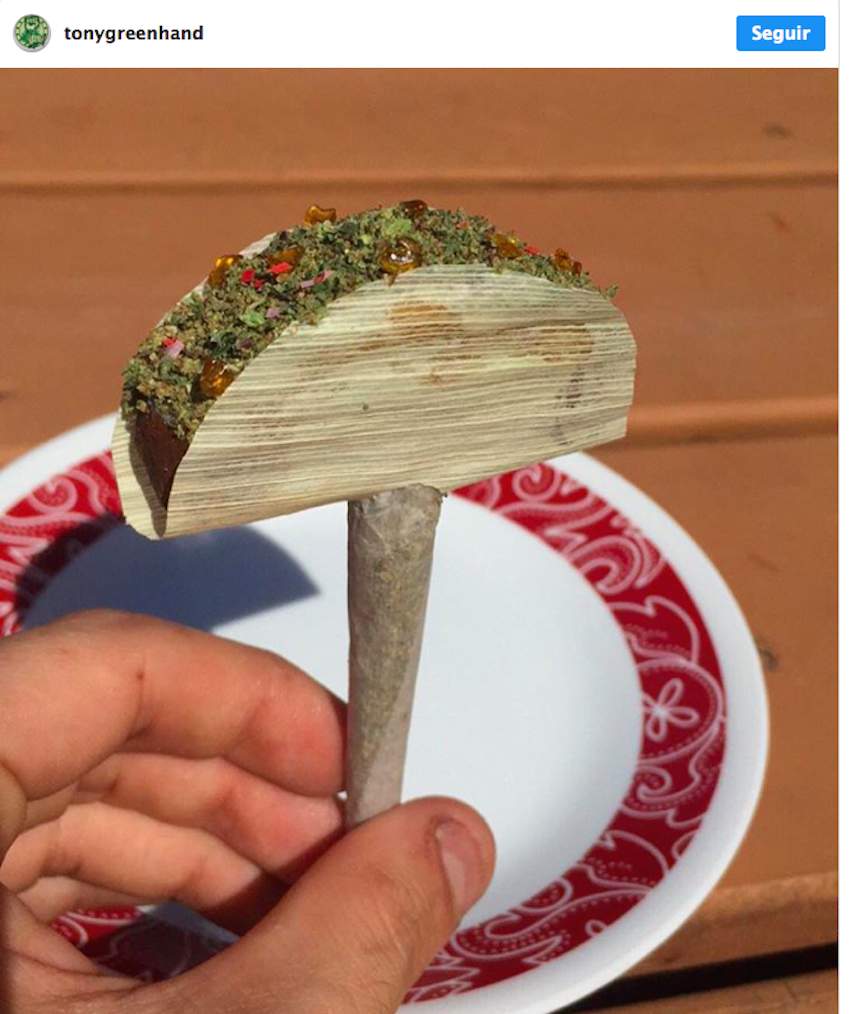 Cáñamo | 12 porros que necesitas verlos para creer que se pueden fumar