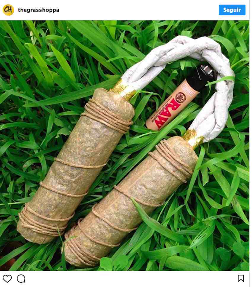 Cáñamo | 12 porros que necesitas verlos para creer que se pueden fumar