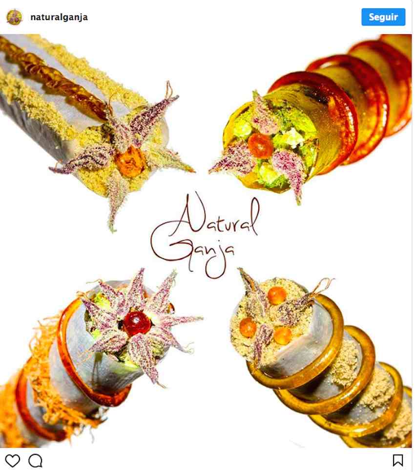 Cáñamo | 12 porros que necesitas verlos para creer que se pueden fumar