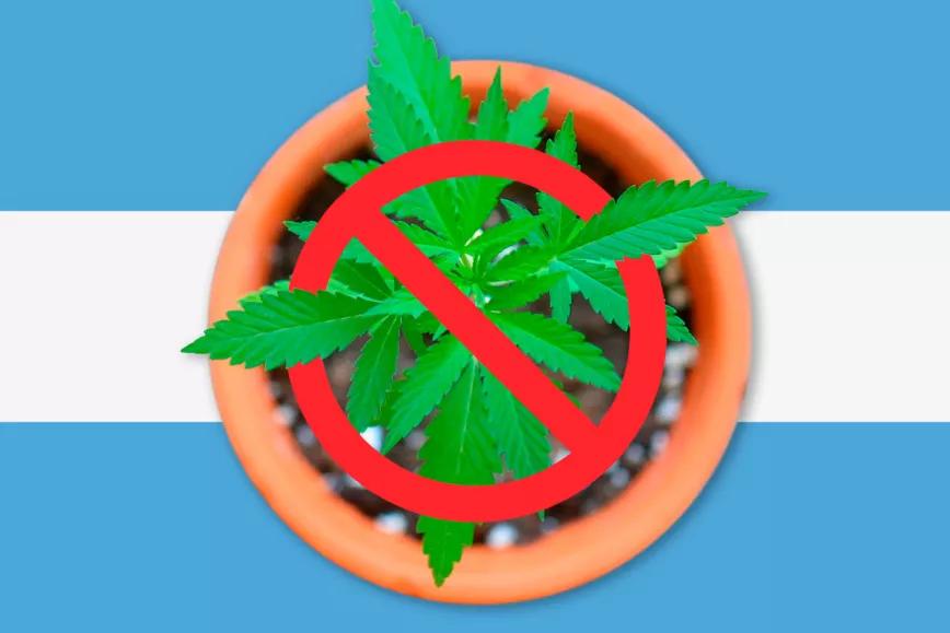 El Gobierno De Javier Milei Anuncia Que Eliminará El Acceso Al Cannabis