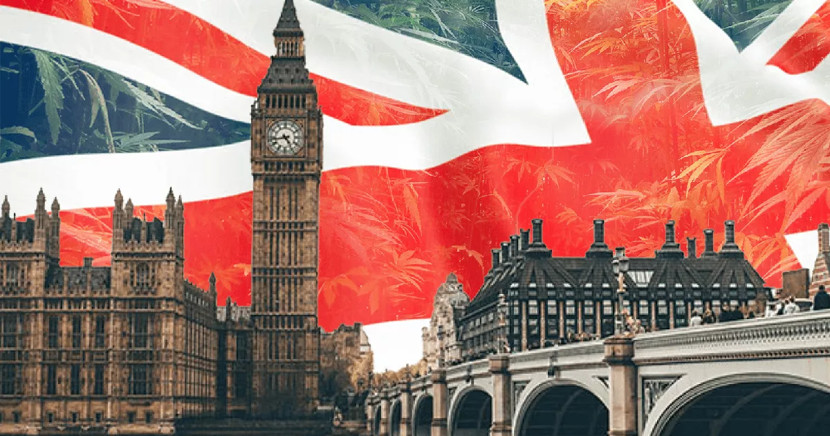 El Parlamento Británico Debate Mejorar El Acceso Al Cannabis Medicinal