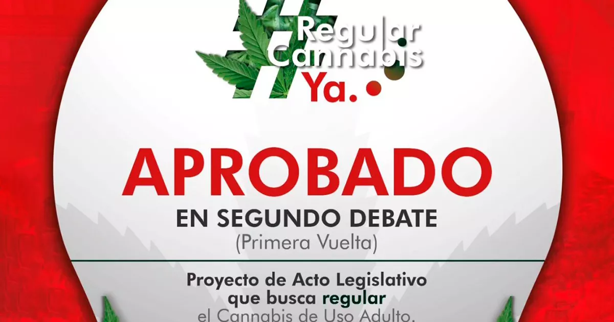 La Regulación Del Cannabis En Colombia Supera La Segunda Votación Cáñamo