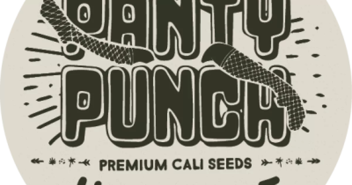 Comprar Panty Punch | Cáñamo