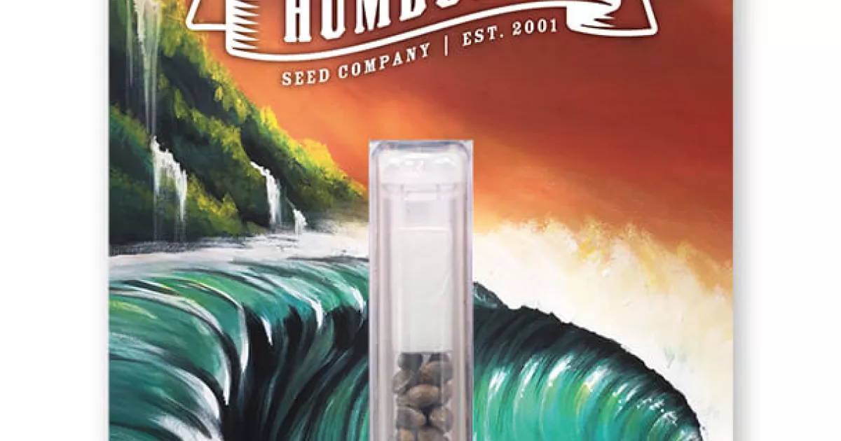 Comprar Slightly Stoopid Fruits | Cáñamo