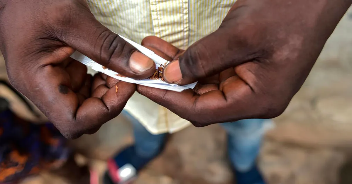 Sierra Leona declara emergencia nacional por consumo de "kush" | Cáñamo