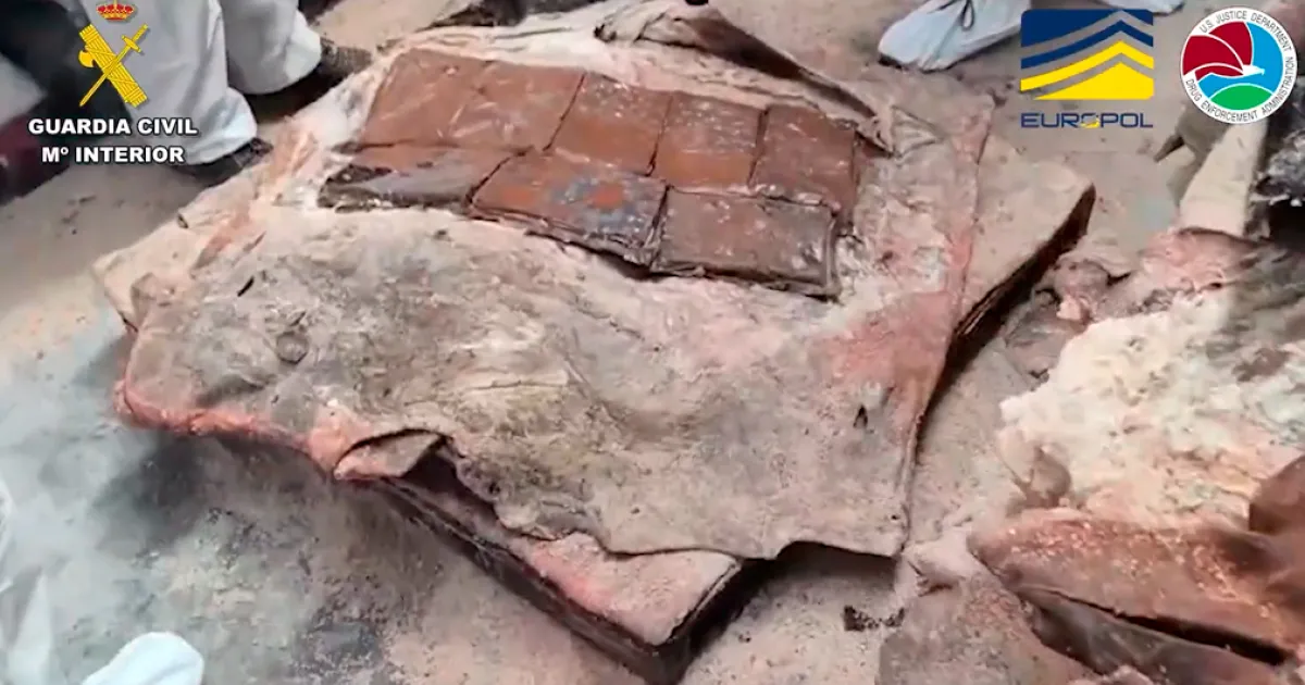 Caen distribuidores de cocaína camuflada en pieles de bovino | Cáñamo