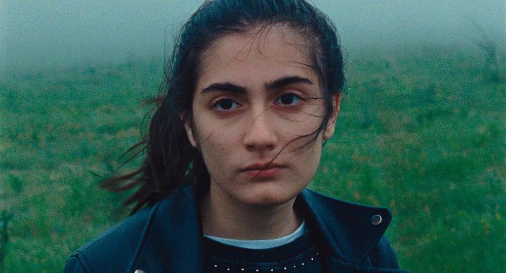 La mafia sigue siendo lo que era | Cáñamo