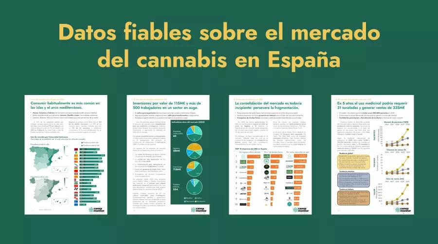 El Mercado Legal De Cannabis En España Genera Ingresos Por Más De 500