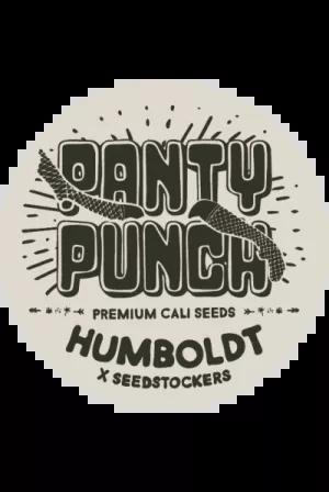 Comprar Panty Punch | Cáñamo